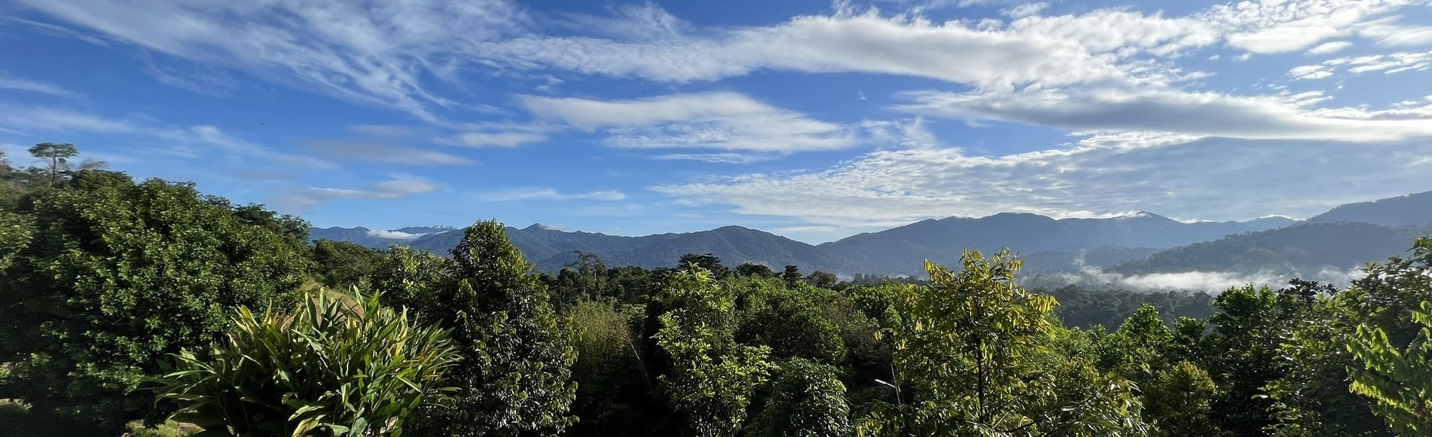 Kemensah - Bukit Pau, Selangor, Malaysia - 106 Reviews, Map | AllTrails