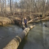 Paul Ruster Trail, Indiana - 218 Reviews, Map | AllTrails