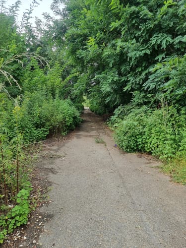 Best Hikes and Trails in Hobby Park | AllTrails