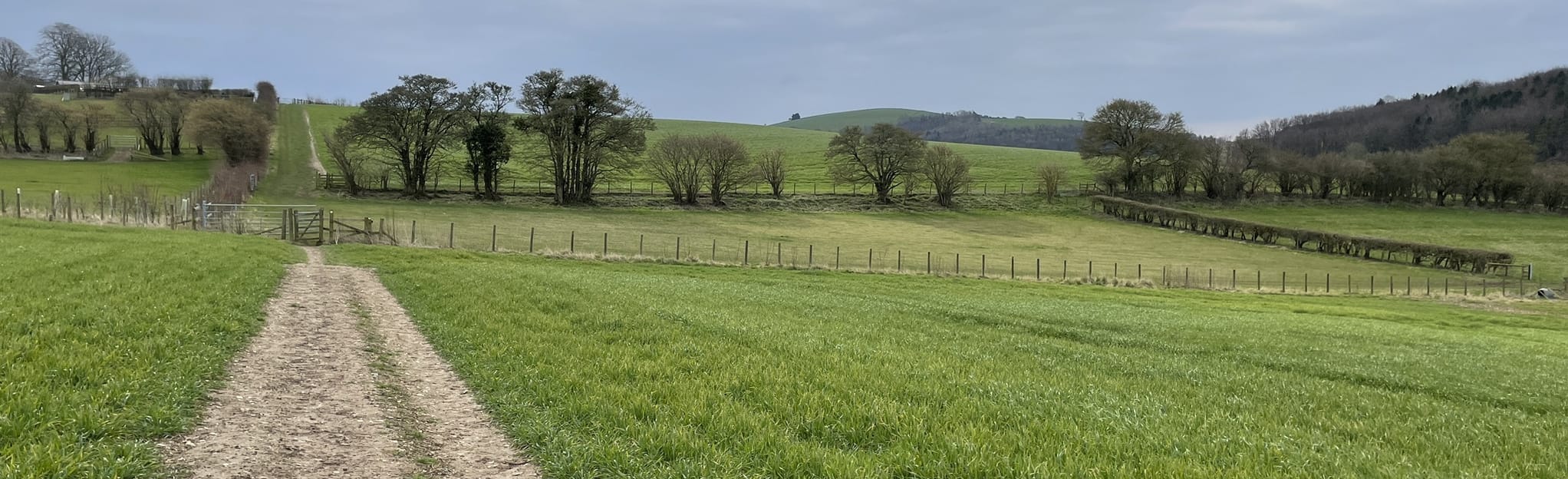 Queen Elizabeth Country Park, East Meon and Petersfield Circular: 402 ...