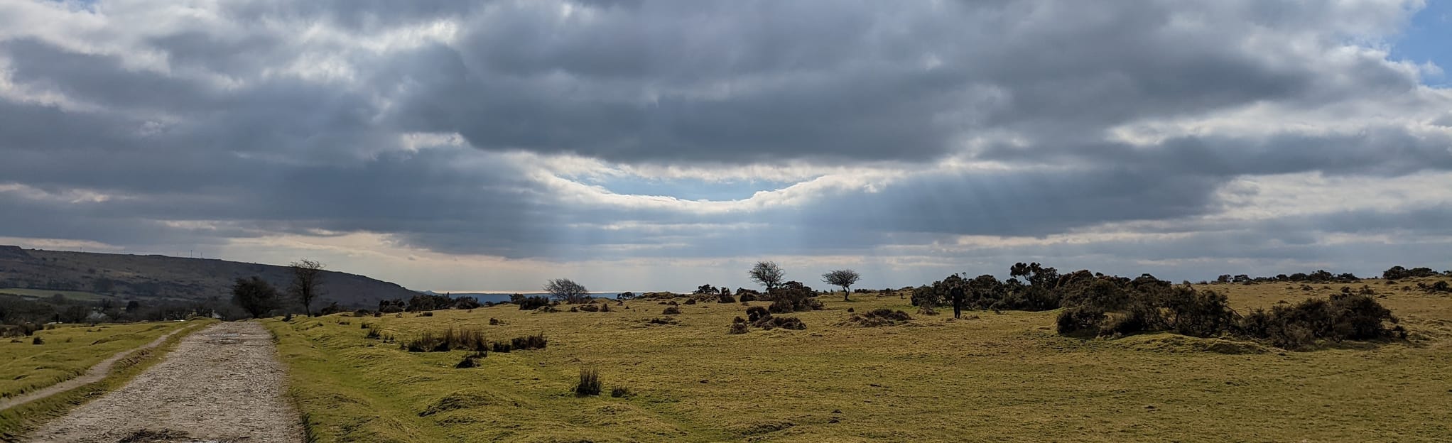 Liskeard and Caradon Railway - Cornwall, England | AllTrails