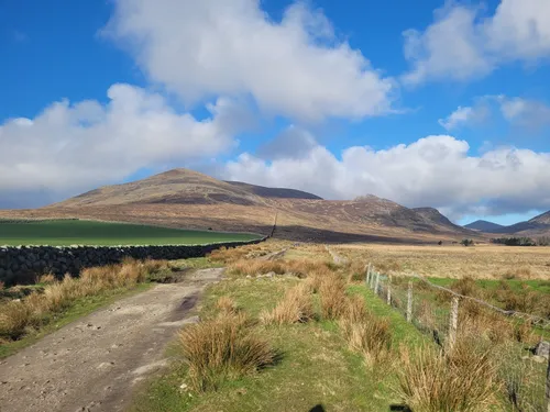 10 Best Forest Trails in Northern Ireland | AllTrails