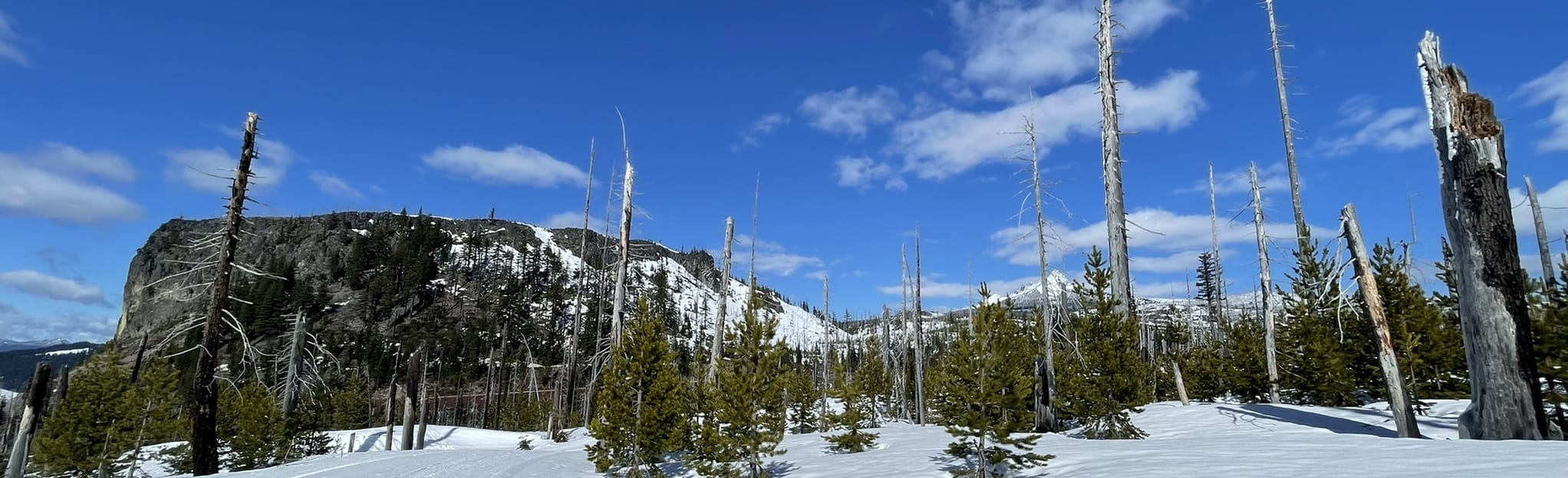 Hayrick Glade, Hogg Meadow, and Sheep Springs Loop, Oregon - 17 Reviews ...