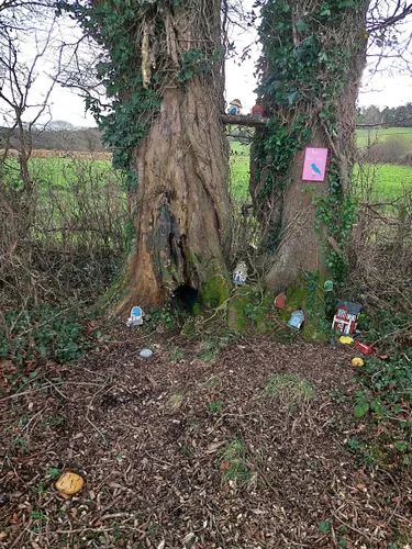 Best Hikes and Trails in Boola | AllTrails