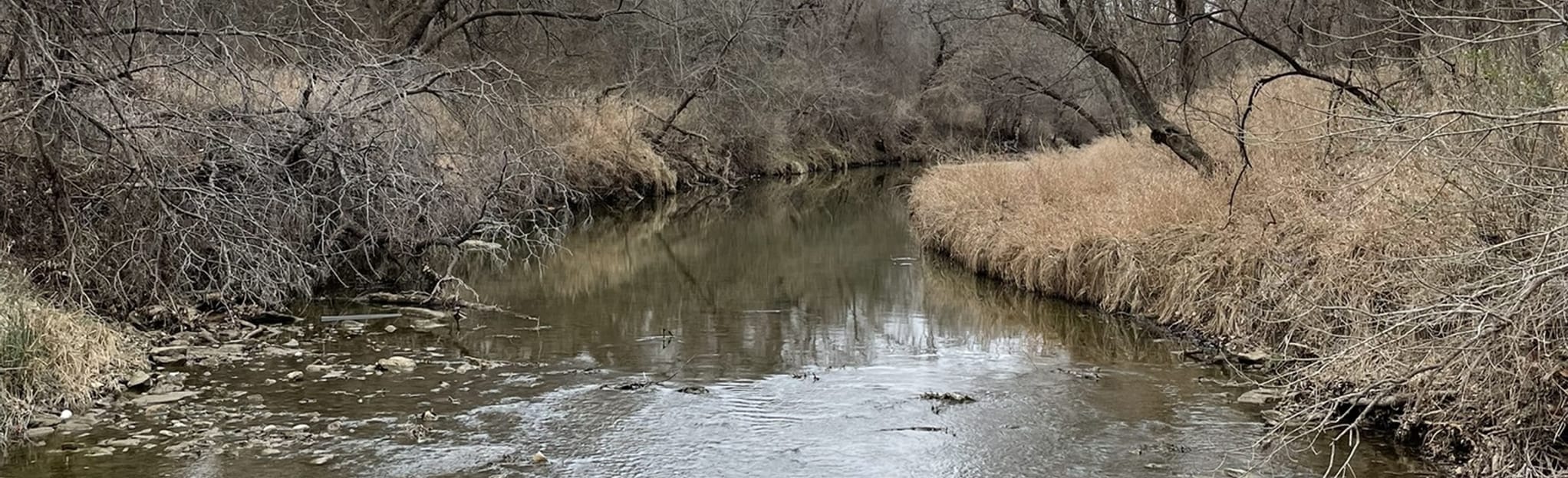 Bison Pasture Trail | Map, Guide - Oklahoma | AllTrails