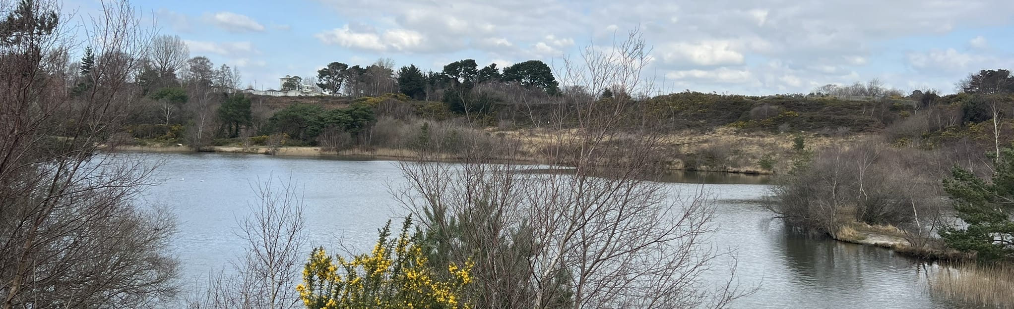 Ham Common Circular: 35 foto's - Dorset, Engeland | Wandelen - AllTrails