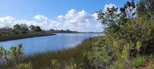 Best Hikes and Trails in Lake Miramar | AllTrails