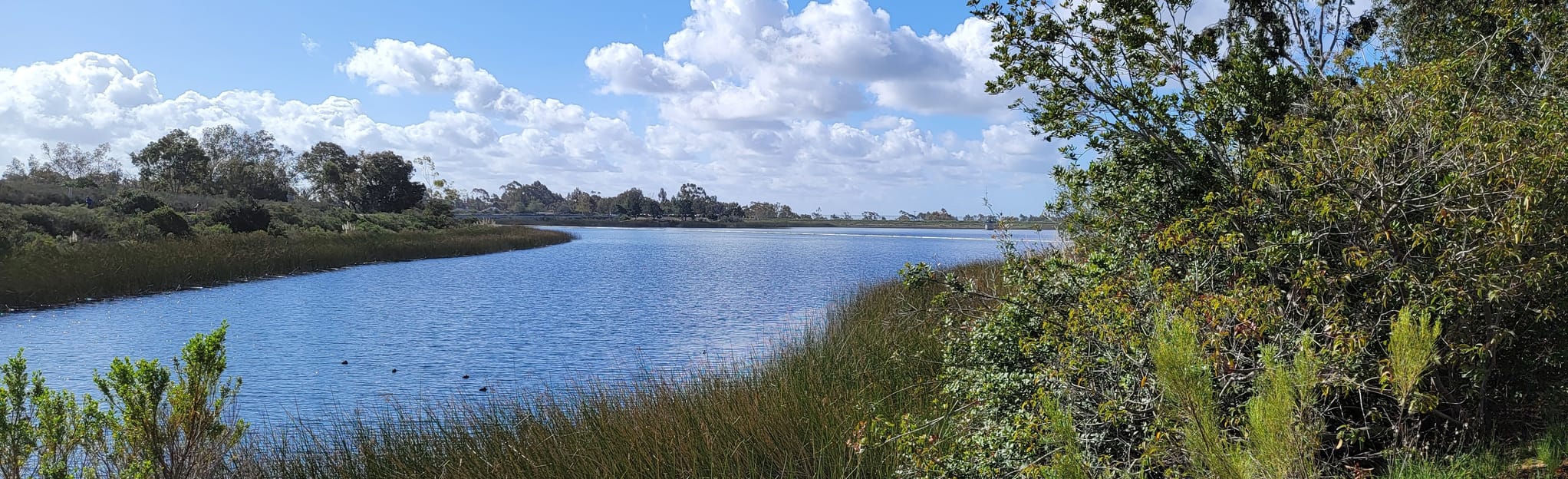 Lake Miramar Trail, California - 3,476 Reviews, Map | AllTrails