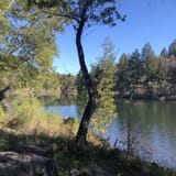Lake Lagunitas, California - 534 Reviews, Map | AllTrails