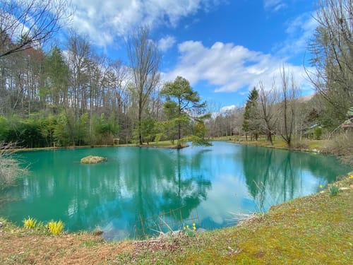 Best Hikes and Trails in Mineral Bluff | AllTrails