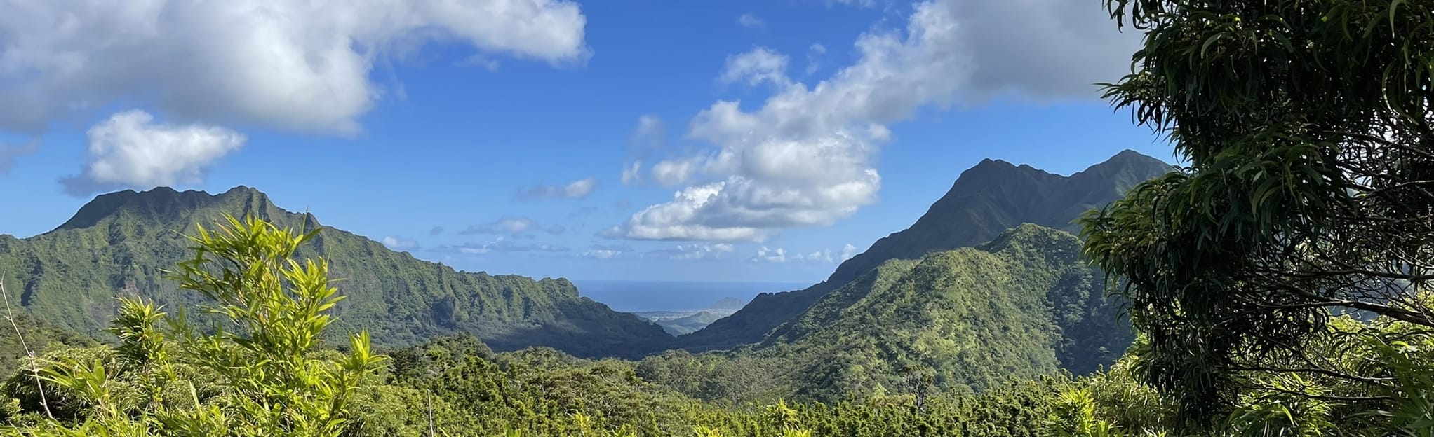 Manoa Cliff Trail, Oahu, Hawaii - 943 Reviews, Map | AllTrails