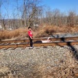 Thun Trail, Pennsylvania - 316 Reviews, Map | AllTrails