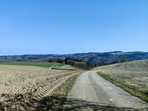 10 Best Trails and Hikes in Kalborn | AllTrails