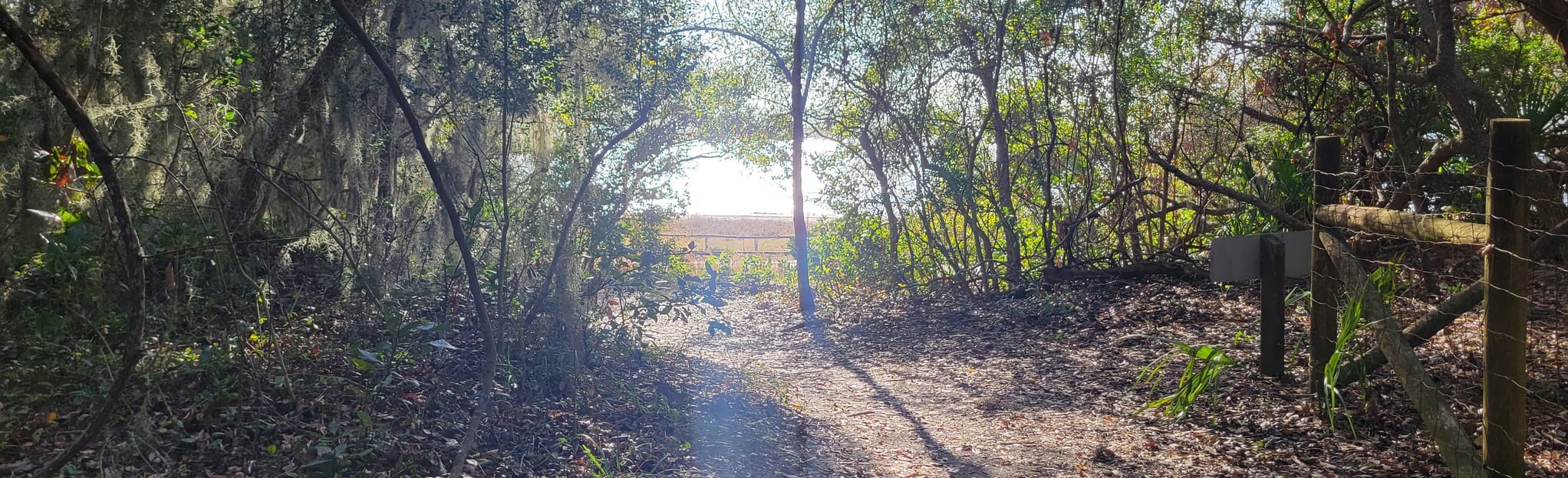 Fort Clinch State Park Trail, Florida - 36 Reviews, Map | AllTrails