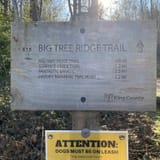 Big Tree Ridge Trail: Short Version, Washington - 295 Reviews, Map ...
