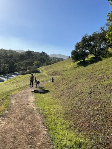 Beste wandelingen en routes in Coal Mine Ridge Nature Preserve of ...
