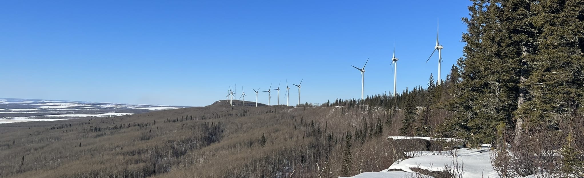 Rim Rocks Trail: 34 Reviews, Map - British Columbia, Canada | AllTrails