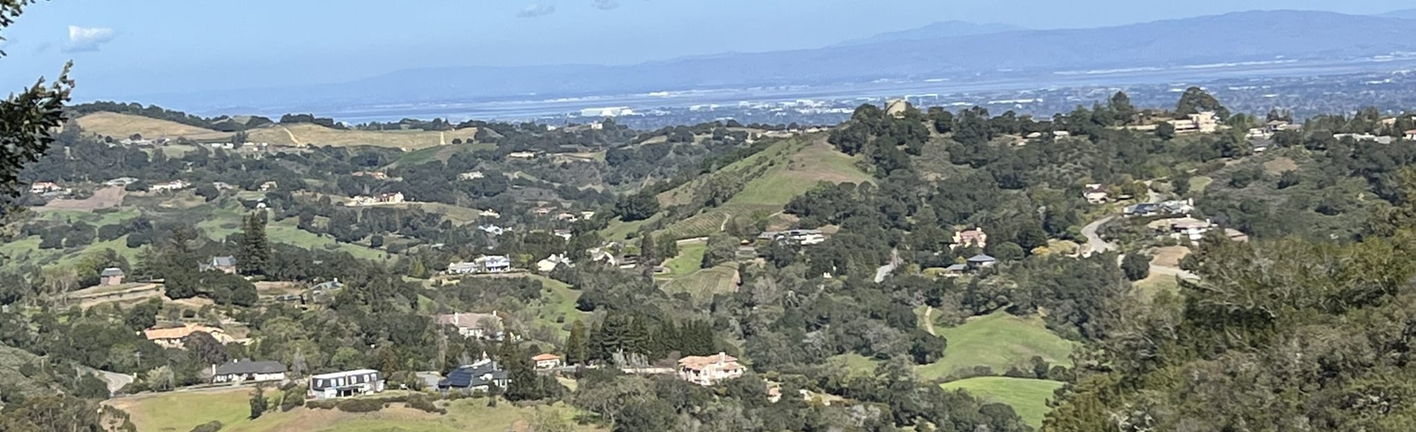 Stuart Ridge Trail and Ohlone Trail, California - 856 Reviews, Map ...