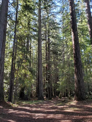 Best Hikes and Trails in Faulkner County Park | AllTrails