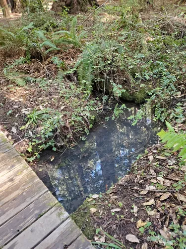 Best Hikes and Trails in Faulkner County Park | AllTrails