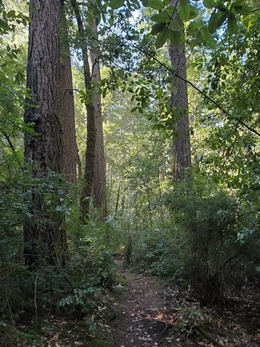 Best Hikes and Trails in Faulkner County Park | AllTrails
