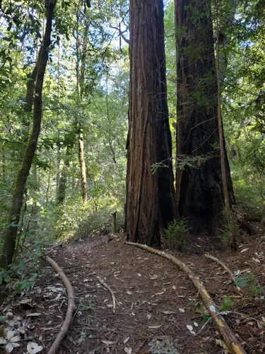 Best Hikes and Trails in Faulkner County Park | AllTrails
