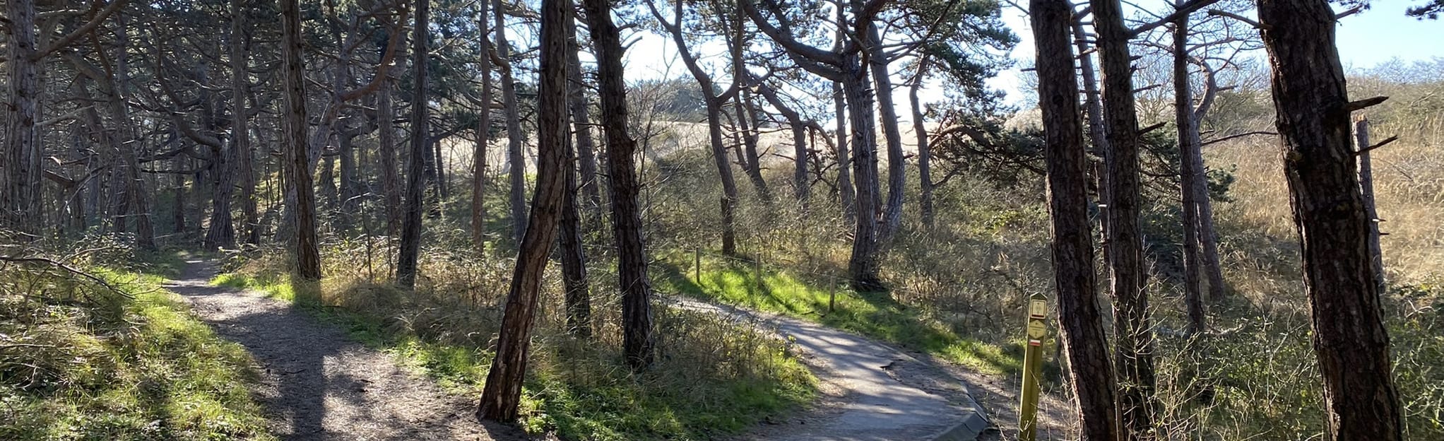 Blankenberge to Wenduine to De Haan Walking Trail: 18 Reviews, Map ...