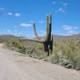 Box Canyon OHV Trail, Arizona - 603 Reviews, Map | AllTrails