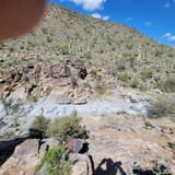 Box Canyon OHV Trail, Arizona - 532 Reviews, Map | AllTrails