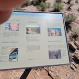 Box Canyon OHV Trail, Arizona - 532 Reviews, Map | AllTrails