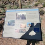 Box Canyon OHV Trail, Arizona - 532 Reviews, Map | AllTrails
