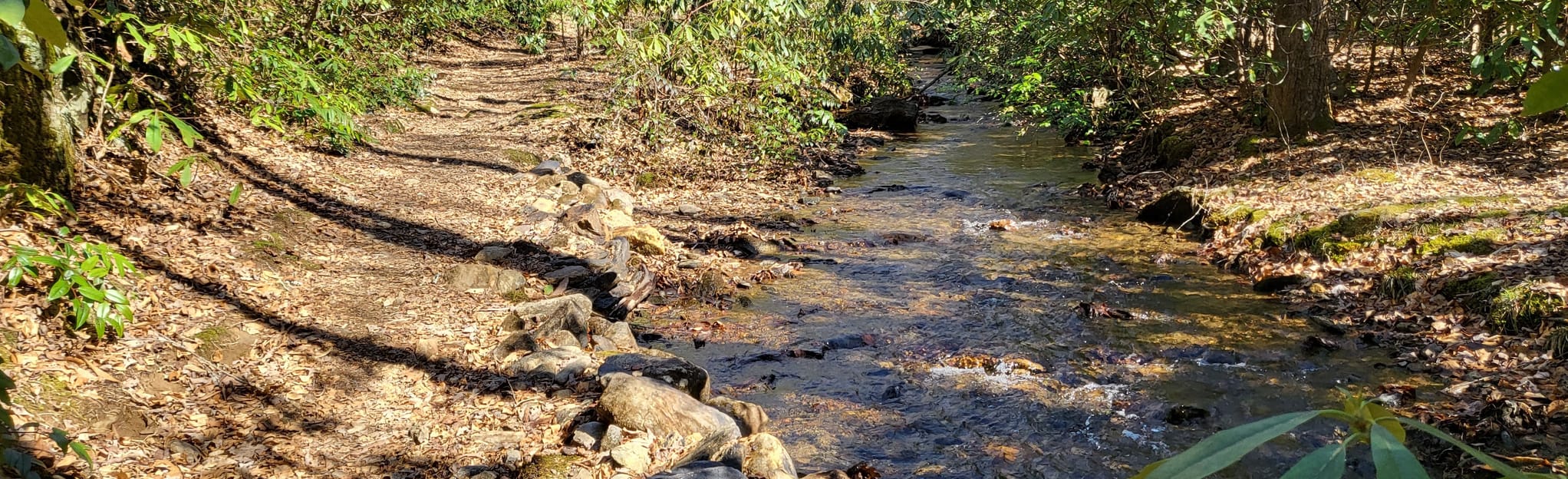 Bad Fork and Wash Creek Road Loop, North Carolina - 80 Reviews, Map ...