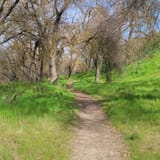 Lost Lake Nature Trail, California - 159 Reviews, Map | AllTrails