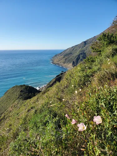 10 Best Camping Trails in Lucia | AllTrails