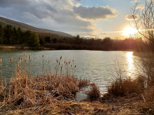 Best Hikes and Trails in Harvest Fields Park | AllTrails