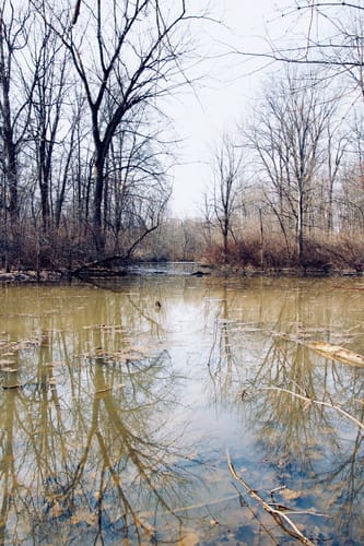 Best Hikes and Trails in Morris Woods State Park | AllTrails