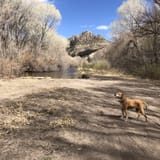 Turkey Creek Hot Springs, New Mexico - 70 Reviews, Map | AllTrails
