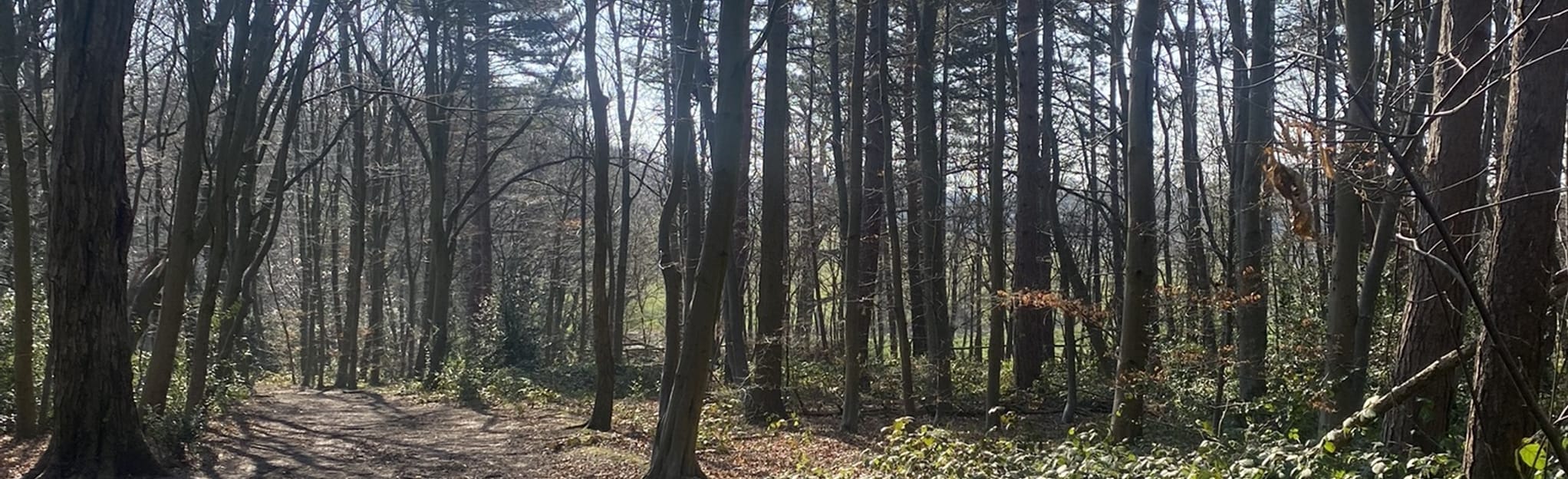 Trent Park Extended Circular: 25 Reviews, Map - London, England | AllTrails