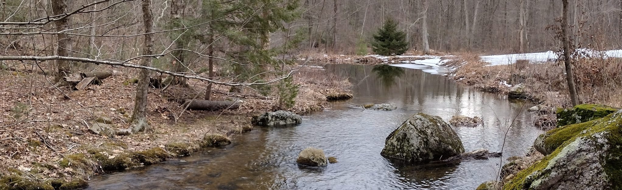 Swan Preserve Yellow, Blue, and Red Trail Loop, Connecticut - 27 ...