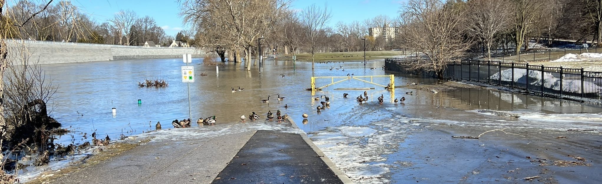 Thames Valley Parkway: Stoneybrook Recreation Field - Ivey Park: 38 ...