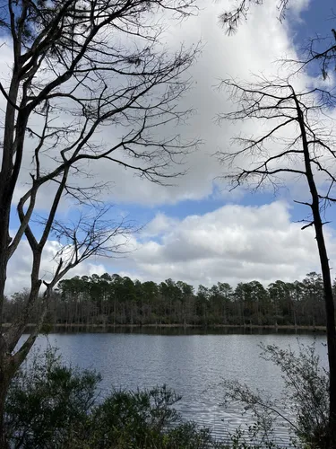 Best Hikes and Trails in Silver Lake Recreation Area | AllTrails