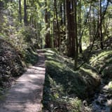 Chaminade Nature Trail, California - 389 Reviews, Map | AllTrails