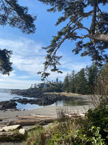 10 Best Trails and Hikes in Ucluelet | AllTrails