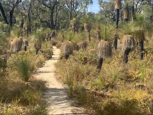 Best Hikes and Trails in Helena National Park | AllTrails