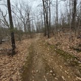 Tarrywile Park Trail, Connecticut - 619 Reviews, Map | AllTrails
