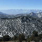Sierra Viewpoint Trail, California - 48 Reviews, Map | AllTrails