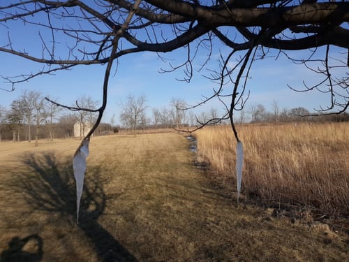 Best Hikes and Trails in Linn Nature Park | AllTrails