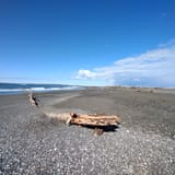 Damon Point State Park Trail, Washington - 408 Reviews, Map | AllTrails