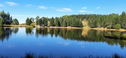 Best Hikes and Trails in Naseby Forest | AllTrails