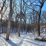 Arcola Bluffs Trail, Minnesota - 192 Reviews, Map | AllTrails